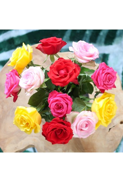 Tacirdepoticaret Karışık Tüplü Kokulu Yediveren Gül Fidanı Paketi -5'li Paket