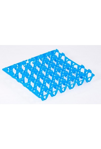 Evcil Sanal Market 30'lu Plastik Yumurta Viyolü Evcil Sanal Market 30'lu Plastik Yumurta Viyolü