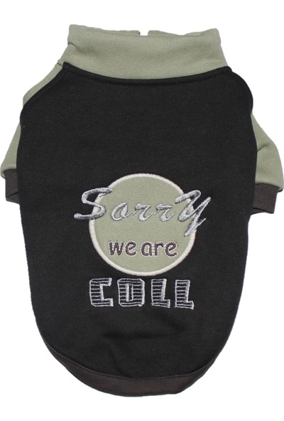Pawstar Sorry Grey (Gri) Sweat Kedi Küçük Irk Köpek Kıyafeti Kedi Köpek Sweati L Pawstar Sorry Grey (Gri) Sweat Kedi Küçük Irk Köpek Kıyafeti Kedi Köpek Sweati L