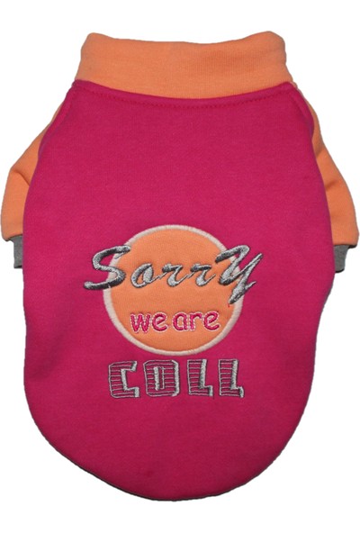 Pawstar Sorry Yavruağzı (P.orange) Sweat Kedi Küçük Irk Köpek Kıyafeti Kedi Köpek Sweati Xl Pawstar Sorry Yavruağzı (P.orange) Sweat Kedi Küçük Irk Köpek Kıyafeti Kedi Köpek Sweati Xl