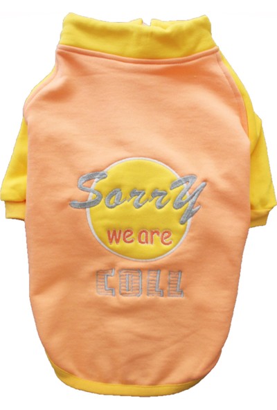Pawstar Sorry Orange- Açık Turuncu Sweat Büyük Irk Köpek Kıyafeti Büyük Irk Köpek Sweat (15-42KG) Xxxl Pawstar Sorry Orange- Açık Turuncu Sweat Büyük Irk Köpek Kıyafeti Büyük Irk Köpek Sweat (15-42KG) Xxxl