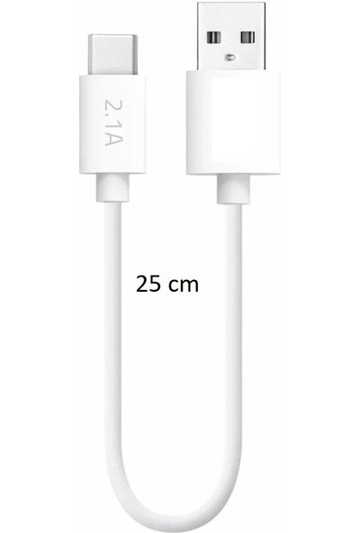 Hiqonic Samsung Uyumlu Type-C USB Powerbank Hızlı Şarj ve Data Kablosu 2.1A 25CM Şarz Hiqonic Samsung Uyumlu Type-C USB Powerbank Hızlı Şarj ve Data Kablosu 2.1A 25CM Şarz