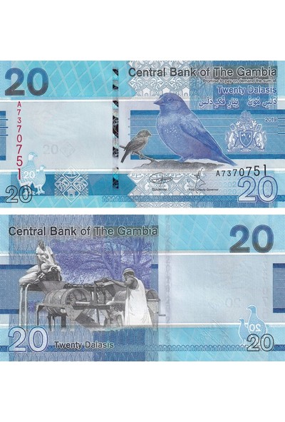 Benim Koleksiyonum Gambiya, 20 Dalasis (2019) Çil Eski Yabancı Kağıt Para Benim Koleksiyonum Gambiya, 20 Dalasis (2019) Çil Eski Yabancı Kağıt Para