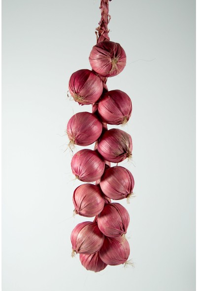 Lilac Home Soğan Dalı Lilac Home Soğan Dalı