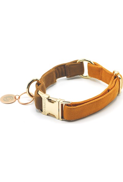 Gopawgo Harlowe Köpek Boyun Tasması
