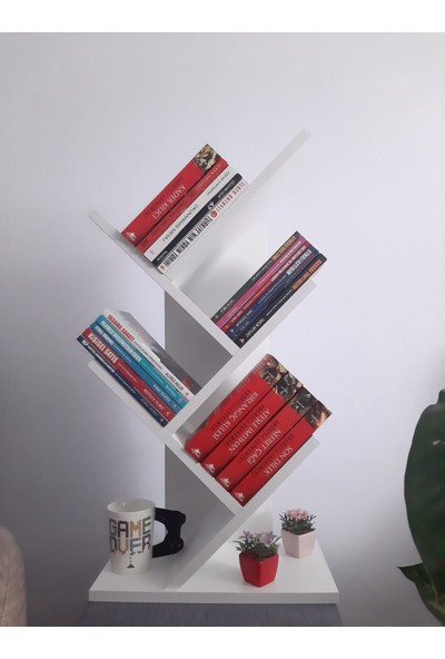 Fassley Dekoratif ve Efektif Kitaplık