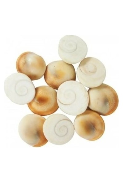 Hacızade Yılancık Taşı 100 Adet