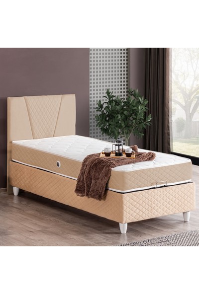 Cesur Menekşe Tek Kişilik Baza Başlık Letto Yatak Seti, Bej Cesur Menekşe Tek Kişilik Baza Başlık Letto Yatak Seti, Bej