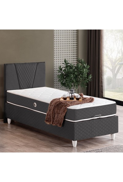 Cesur Menekşe Tek Kişilik Baza Başlık Letto Yatak Seti, Antrasit Cesur Menekşe Tek Kişilik Baza Başlık Letto Yatak Seti, Antrasit