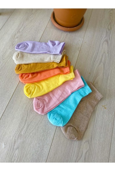 Black Arden Socks Kadın Düz Renkler Cotton 8'li Patik Çorap BT-0274
