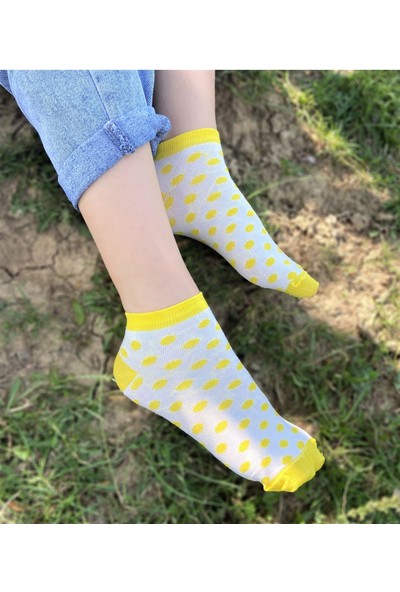 Black Arden Socks 10'lı Karışık Soft Renkli Puantiyeli Patik Çorap Black Arden Socks 10'lı Karışık Soft Renkli Puantiyeli Patik Çorap