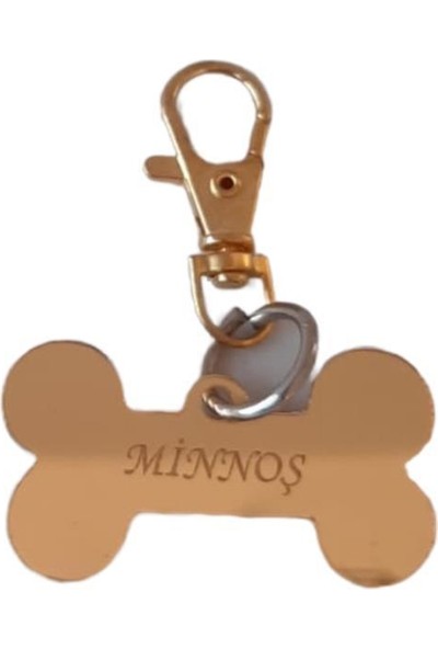 Baby Wind Kedi ve Köpek Isim Künyesi Kaybolursam Ara Kemik Model