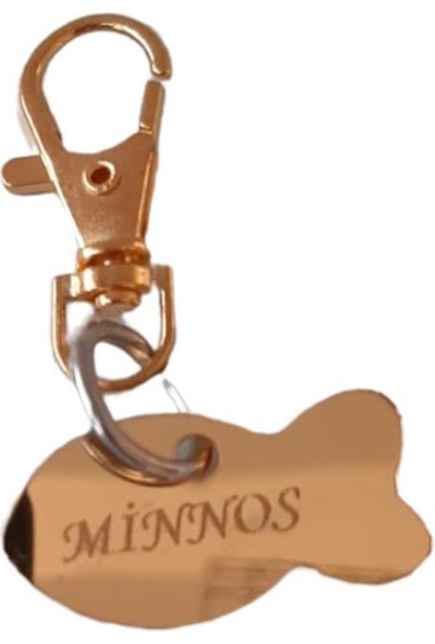 Baby Wind Kedi ve Köpek Isim Künyesi Kaybolursam Ara Balık Model