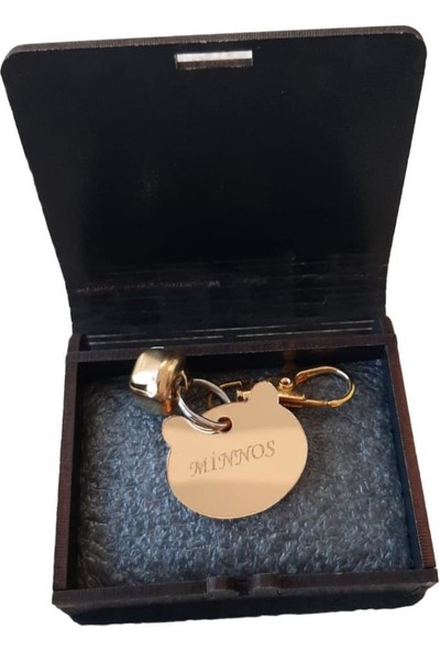 Baby Wind Kedi ve Köpek Isim Künyesi Kaybolursam Ara Kedi Model