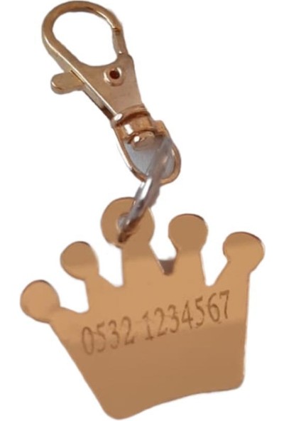 Baby Wind Kedi ve Köpek Isim Künyesi Kaybolursam Ara Kral Taclı Model Baby Wind Kedi ve Köpek Isim Künyesi Kaybolursam Ara Kral Taclı Model