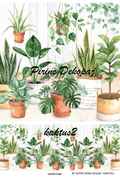 Sister Home Design Kaktüs Desen Dekopaj Kağıdı - 2 Sister Home Design Kaktüs Desen Dekopaj Kağıdı - 2