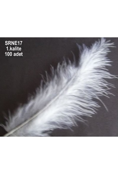 Araget Kuş Tüyü Beyaz Renk 100 Adet