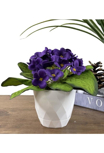 Nettenevime Yapay Çiçek Beyaz Saksıda Kadife Menekşe Gerçekçi Doku Mor
