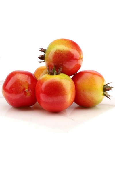 Nettenevime Yapay Nar 6 Lı Paket Yapay Meyve