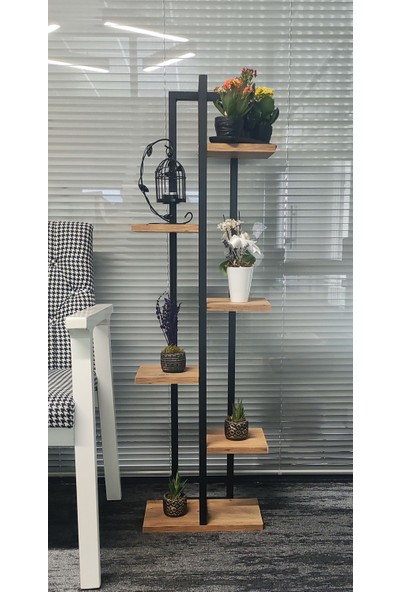 Boss Group Çiçeklik 6 Bölmeli, Raf Siyah Metal Çerçeveli Ahşap