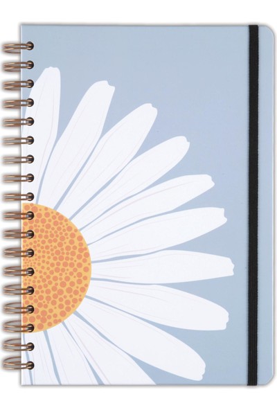 Matt Notebook Lastikli Spiralli Sert Kapak Kareli Not Defteri 17 x 24 cm Matt Notebook Lastikli Spiralli Sert Kapak Kareli Not Defteri 17 x 24 cm