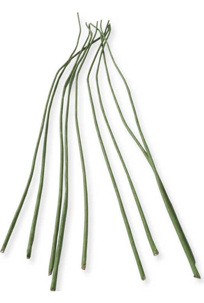 Eminönü Toptancı Taç ve Çiçek Yapma Teli 2 mm x 60 cm - 1 kg