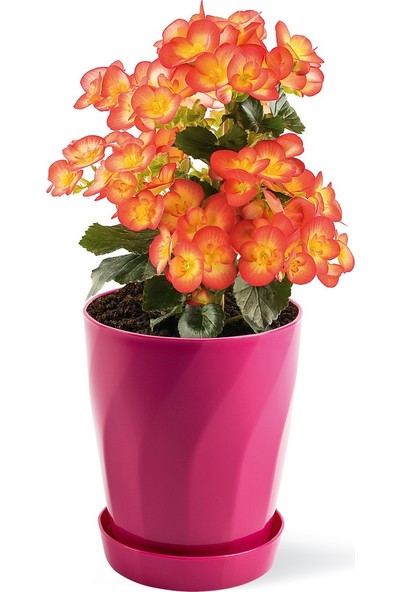 Melkan Home Begonya Saksı 1,3 Litre Pembe Melkan Home Begonya Saksı 1,3 Litre Pembe