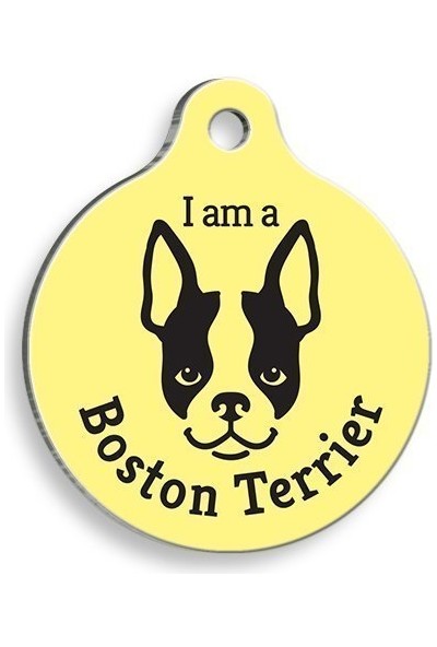 Altın Pati Köpek Kedi Künyesi Medium 3 cm Altın Pati Köpek Kedi Künyesi Medium 3 cm