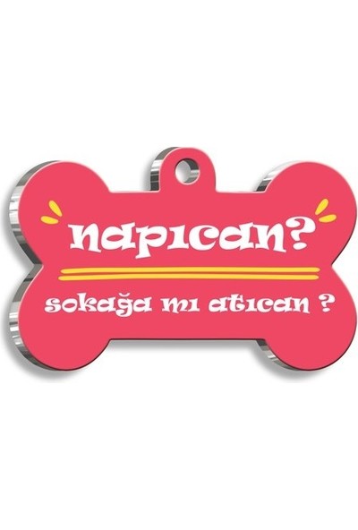 Altın Pati Köpek Kedi Künyesi Xlarge 3,3 x 5 cm Altın Pati Köpek Kedi Künyesi Xlarge 3,3 x 5 cm