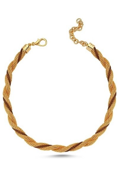 Altın Pati Köpek Kedi Künyesi Xsmall - 25 cm