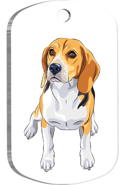 Altın Pati Köpek Kedi Künyesi Small 2 x 3,5 cm Altın Pati Köpek Kedi Künyesi Small 2 x 3,5 cm