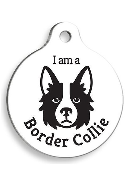 Altın Pati Köpek Kedi Künyesi Medium 3 cm