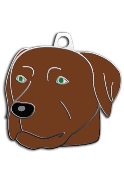Altın Pati Chocolate Labrador Köpek Künyesi