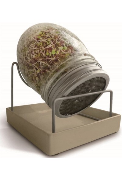 The LifeCo Geo Jar Filizlendirici Kavanoz