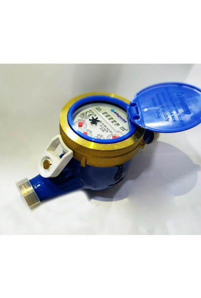 Klepsan Su Sayacı - Su Saati Yeni Model Uzun (Rekorsuz)