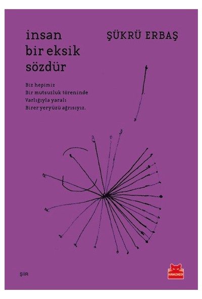 Insan Bir Eksik Sözdür - Şükrü Erbaş