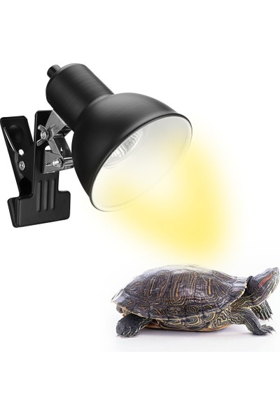 Anself 25W Sürüngen Isı Lamba (Yurt Dışından)