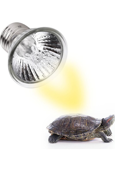 Anself 50W Sürüngen Isı Lambası (Yurt Dışından)