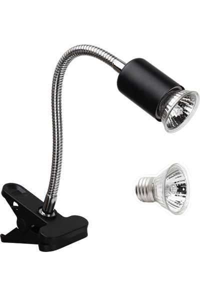 Anself 75W Sürüngen Isı (Yurt Dışından)