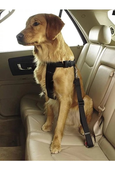 Tineke Evcil Hayvan Araç Emniyet Kemeri Kedi Köpek Araba Oto Tasması Oto Aksesuarları Tineke Evcil Hayvan Araç Emniyet Kemeri Kedi Köpek Araba Oto Tasması Oto Aksesuarları
