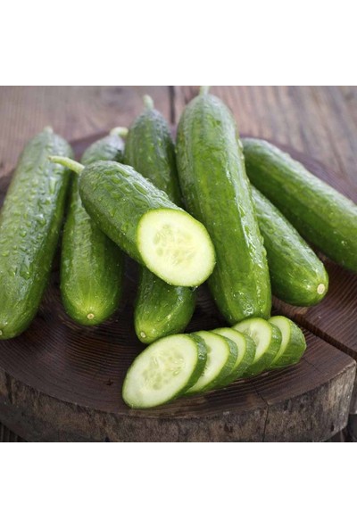 Anamur Naturel Çıtırıx Çıtır Çengelköy Salatalık Fidesi (5 Adet) Anamur Naturel Çıtırıx Çıtır Çengelköy Salatalık Fidesi (5 Adet)