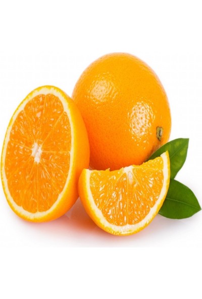 Anamur Naturel Tüplü Aşılı Meşhur Washington Portakal Fidanı