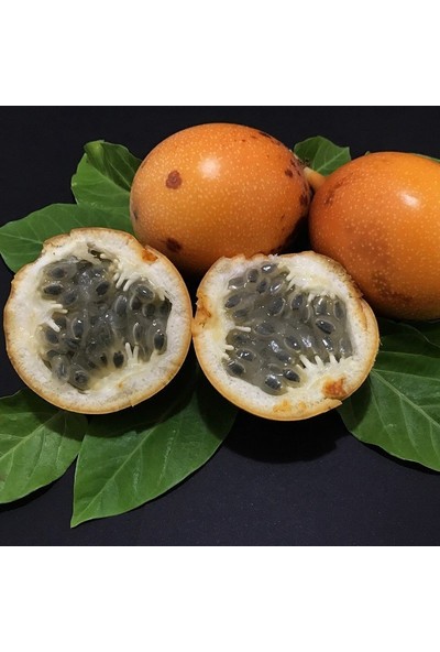 Anamur Naturel Tüplü Passiflora Ligularis (Sweet Granidalla) Çarkıfelek Fidanı Anamur Naturel Tüplü Passiflora Ligularis (Sweet Granidalla) Çarkıfelek Fidanı