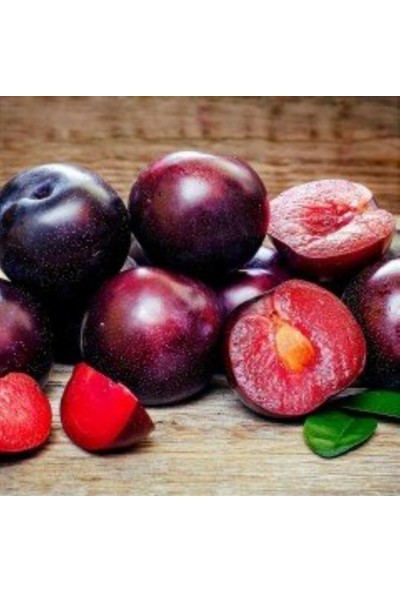 Anamur Naturel Tüplü Aşılı Tam Bodur Black Splendor Erik Fidanı