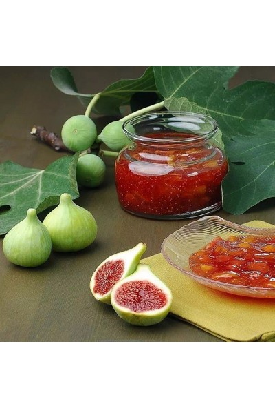 Anamur Naturel Tüplü Sofralık Iri Meyveli Gök Lob Incir Fidanı Anamur Naturel Tüplü Sofralık Iri Meyveli Gök Lob Incir Fidanı