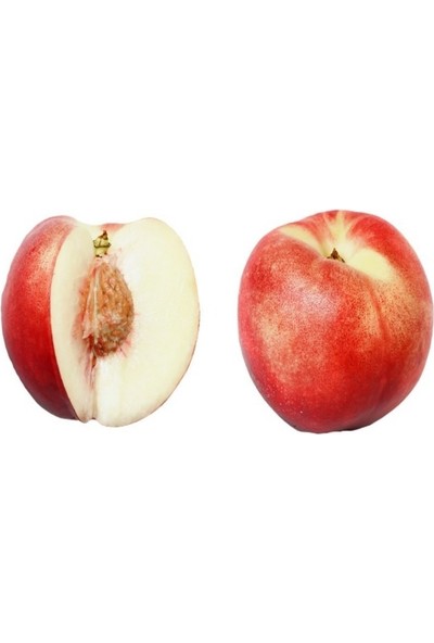 Anamur Naturel Tüplü Italyan Kokulu Beyaz Etli Caldesi Nektarin Fidanı