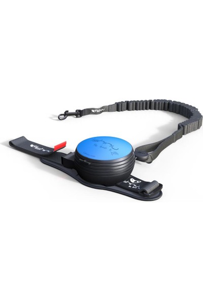 Lishinu Mavi Bungee Akıllı Kontrol Gezdirme L 13-40 kg