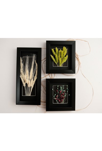 Ekinoks Mobilya Çerçeve Siyah 3' Lü Kuru Çiçekli - Baffin