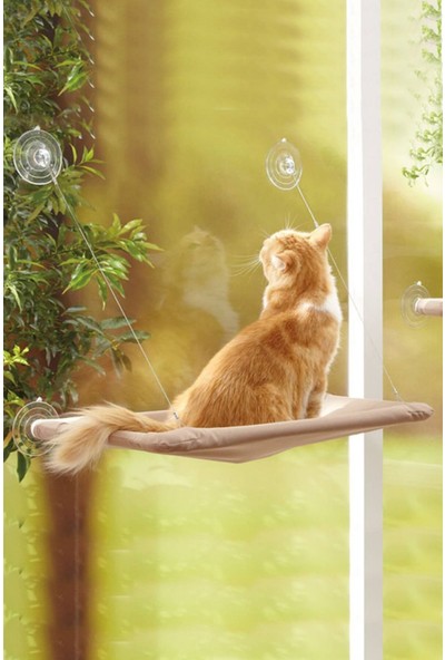 Pet Zoom Cama Yapışan Kedi Yatağı