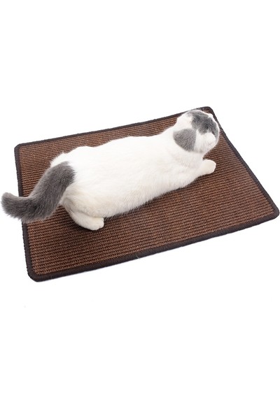 Sunsky Evcil Kedi Kilimi (Yurt Dışından)